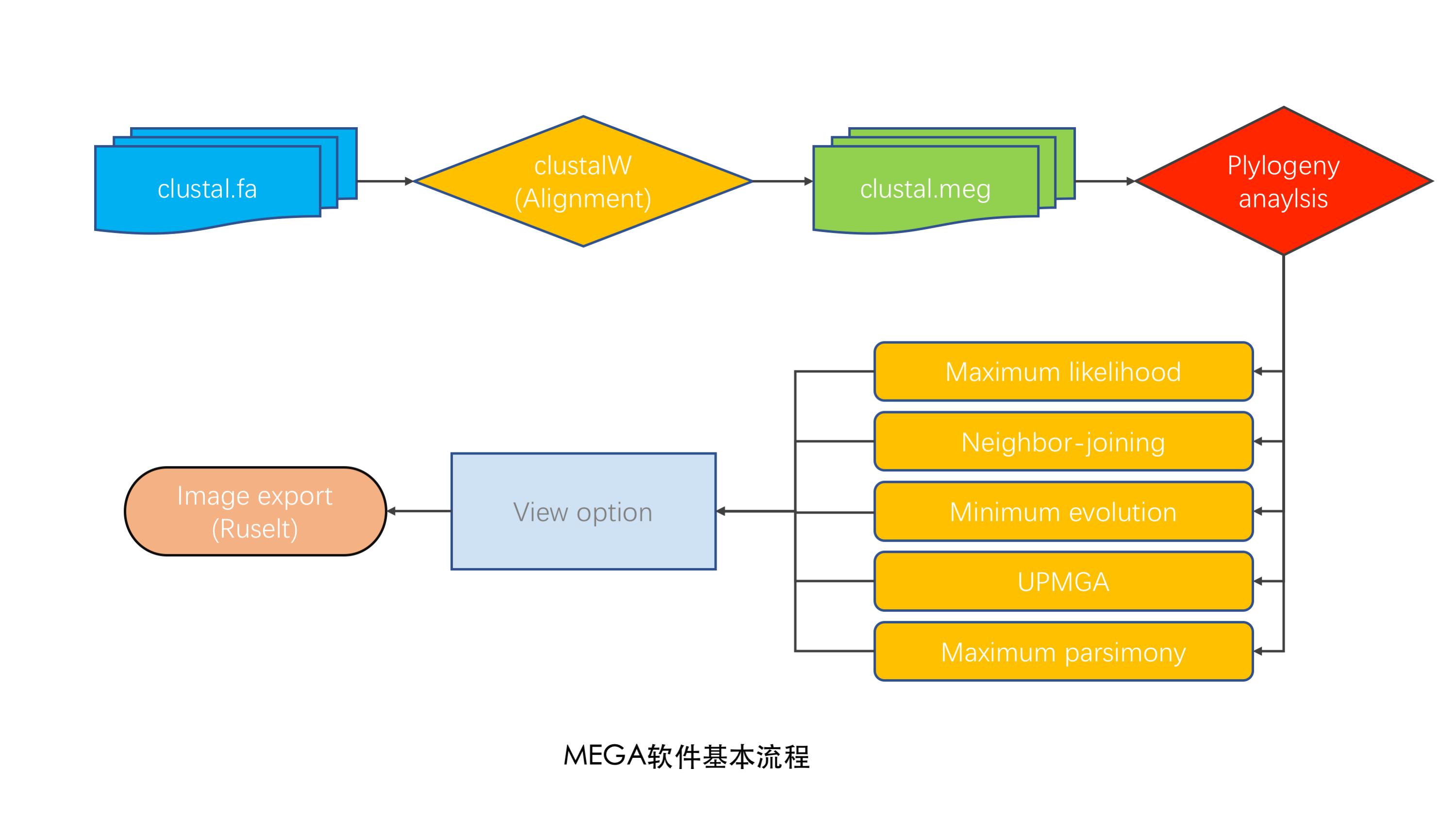 3.Conservation Analysis · Bioinformatics Tutorial - Basics